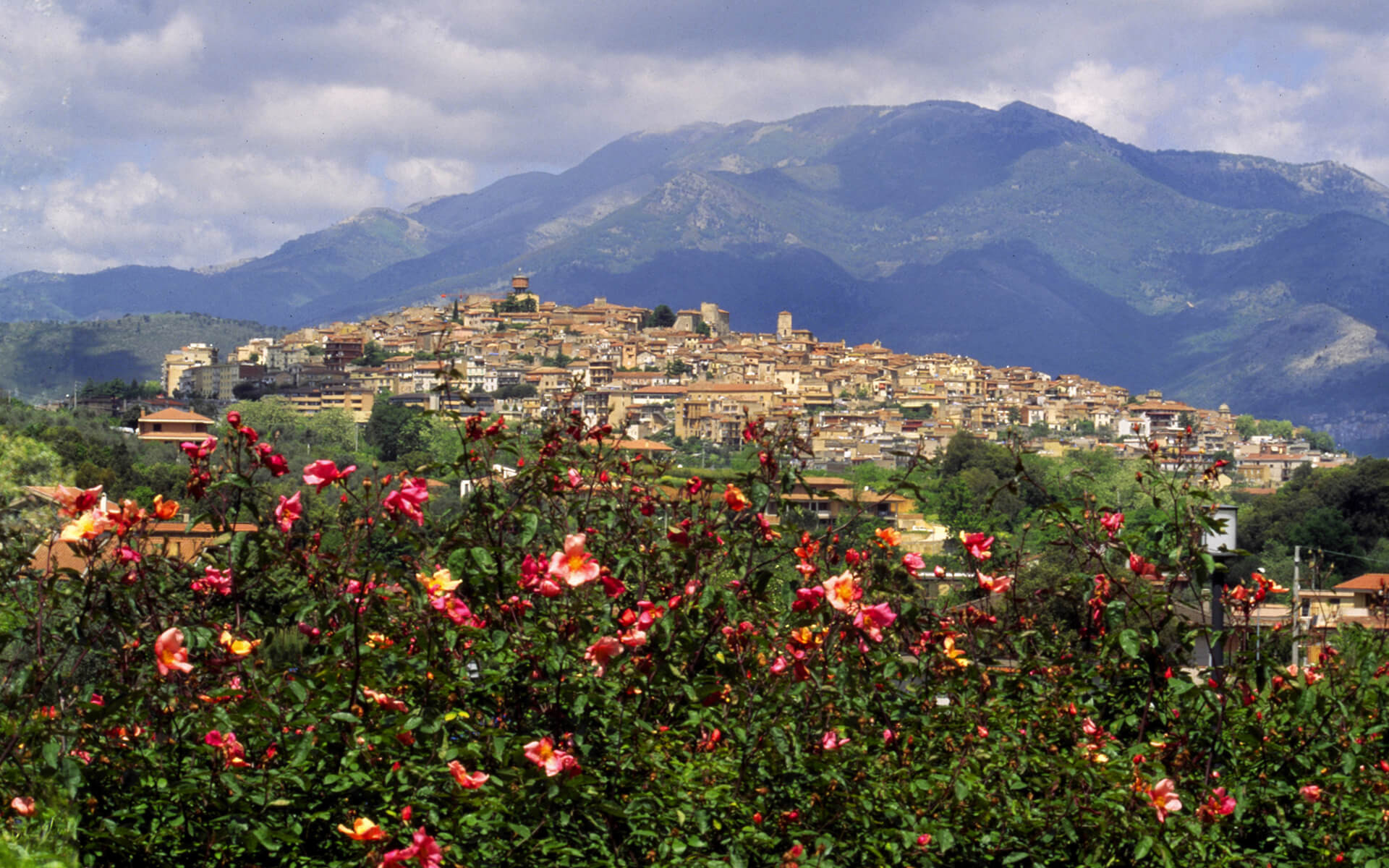 Priverno | MyBestLazio
